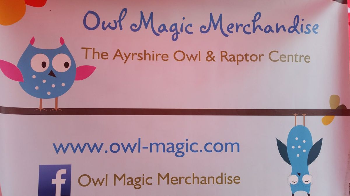 Owl Magic – The Ayrshire Owl and Raptor Centre – Indie Light