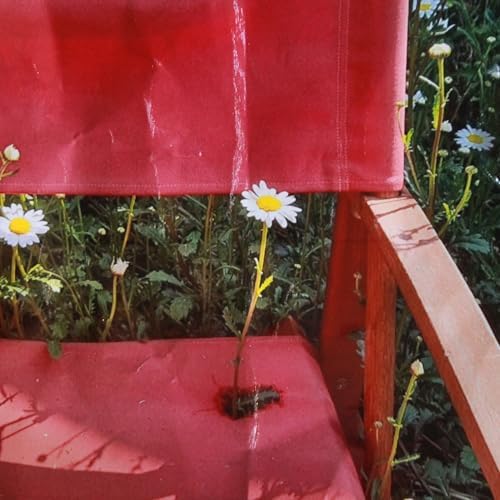 Single Review: Elsie MacDonald – Finest Sense – Indie Light